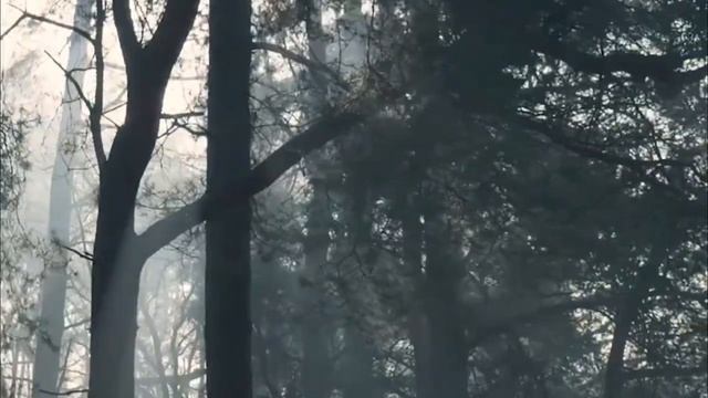 День, который все изменит. Важный гороскоп на 26 января.