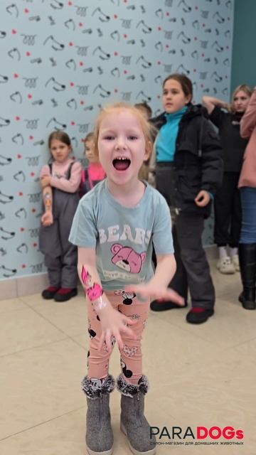 Новый зоосалон PARADOGs в Екатеринбурге