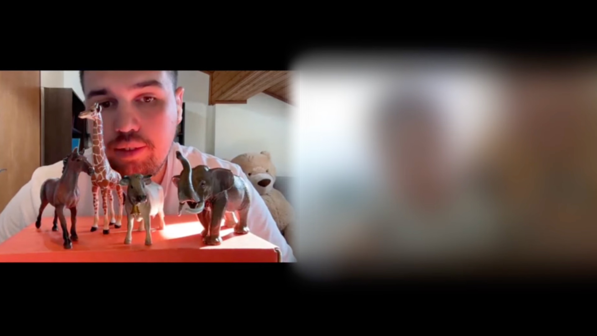 Сенсомоторная алалия и апраксия: от нуля в понимании и речи до ОНР-2 за 14 месяцев (возраст: 4,4 г)