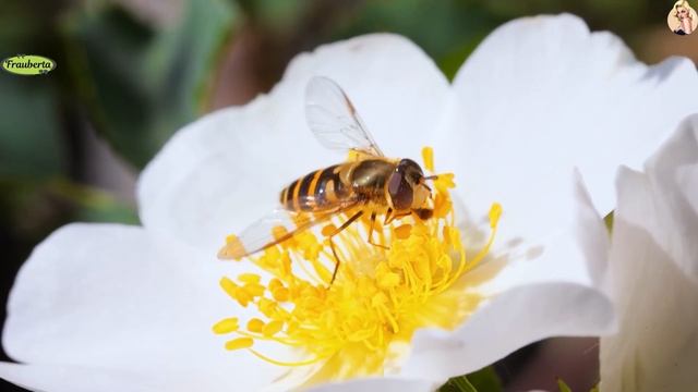 Новый мир 3 часть