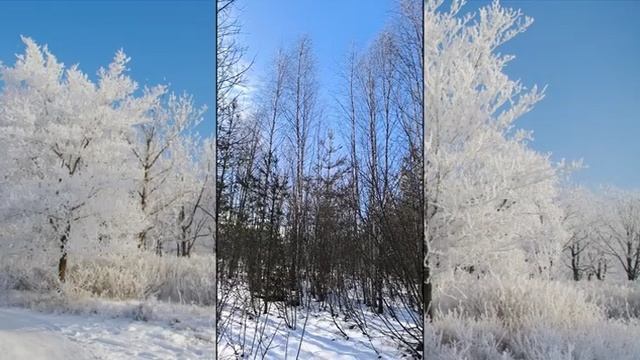 Цените жизнь! Она прекрасна! Цените каждый её миг! Стихи. Мудрость через века.