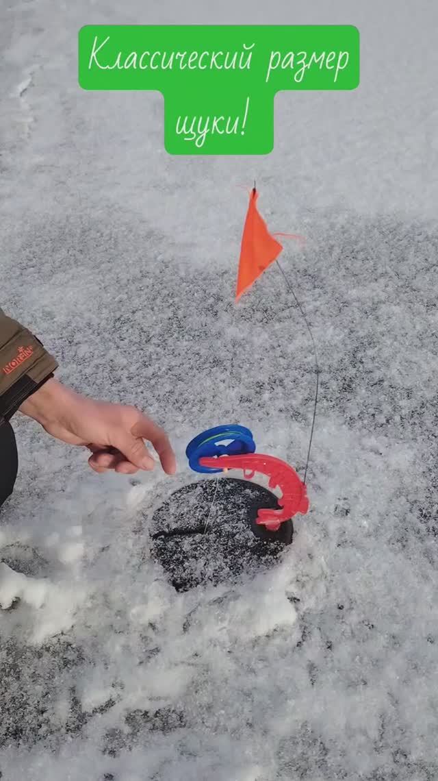 Классический размер щуки!