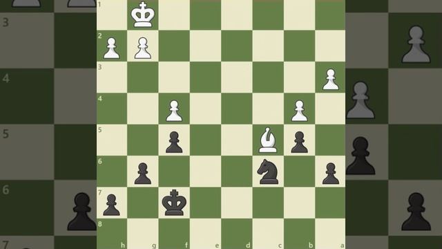 Эндшпиль. Принципы эндшпиля