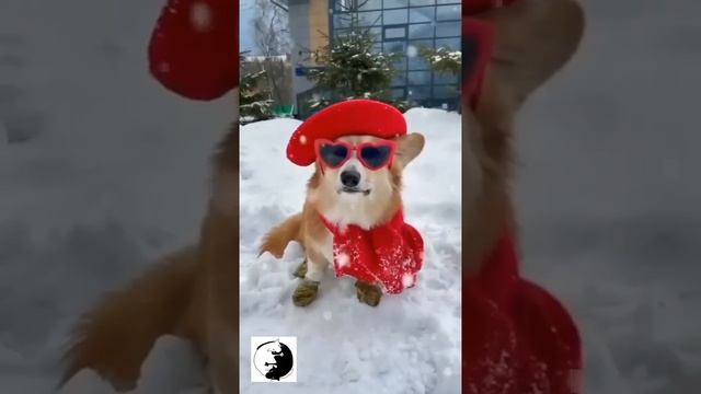 Классная песня