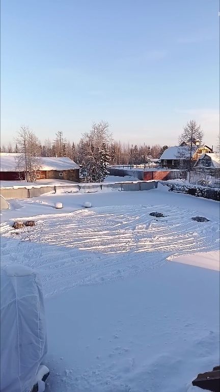 Забава. #борьба #мороз #туруханск