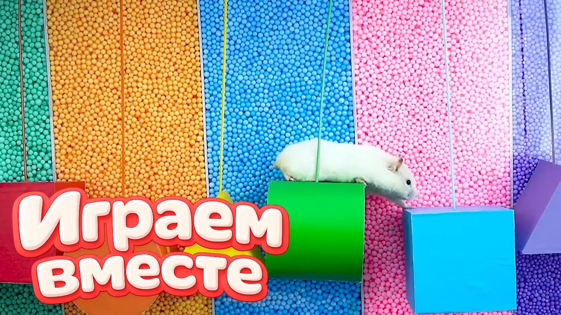 НОВЫЙ ОПАСНЫЙ ЛАБИРИНТ ДЛЯ ХРАБРОГО И УМНОГО ХОМЯКА 🐹 ВИДЕО ДЛЯ ДЕТЕЙ ! ЧАСТЬ 11