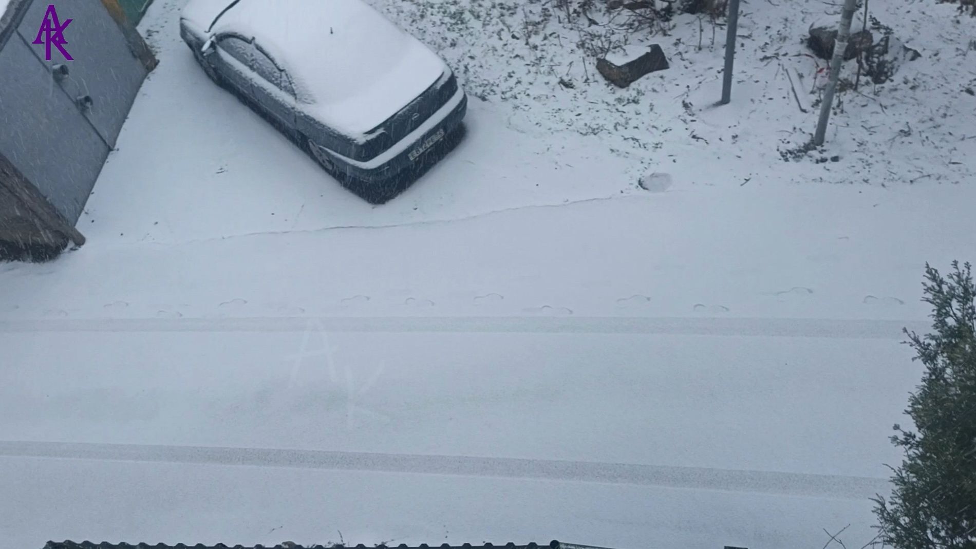 Крым. ЮБК. Гаспра. Такой вот был снежок 13.01.26 #юбк #андрейкрымский #гаспра #андрейлилия #зима2026