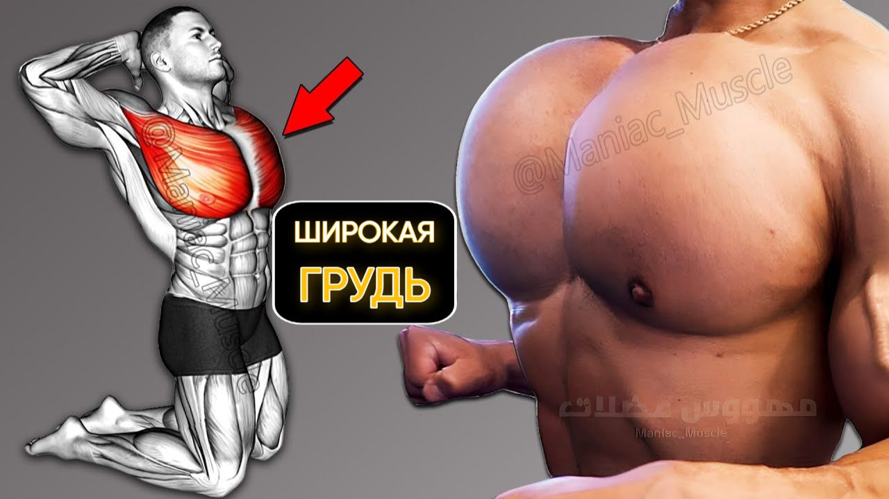 Тренировка Всей Грудной Клетки от Верхней до Нижней Мышцы Груди с Лучшим Эффектом