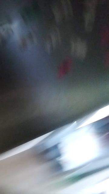 я снял видео про чертополох в нашем доме, 💨