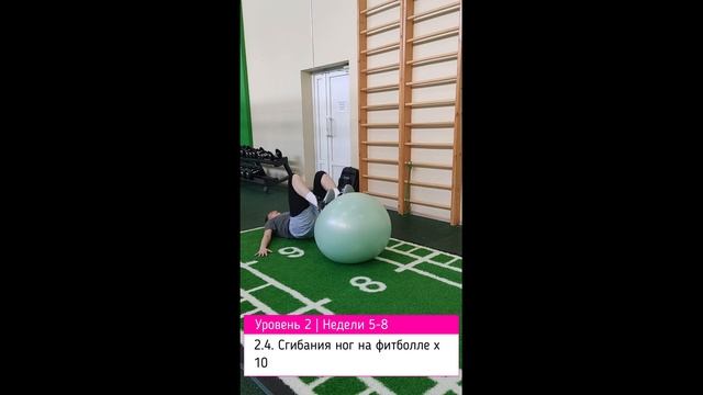 2.4. Сгибания ног на фитболле