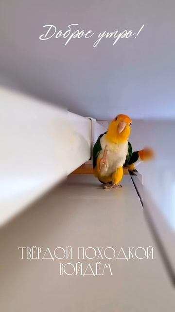 #понедельник