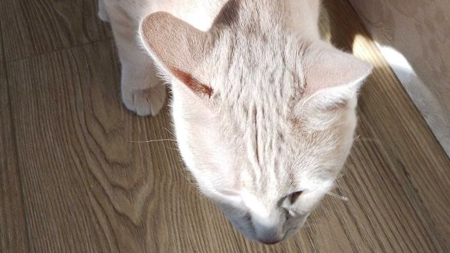 Как сделать верификацию