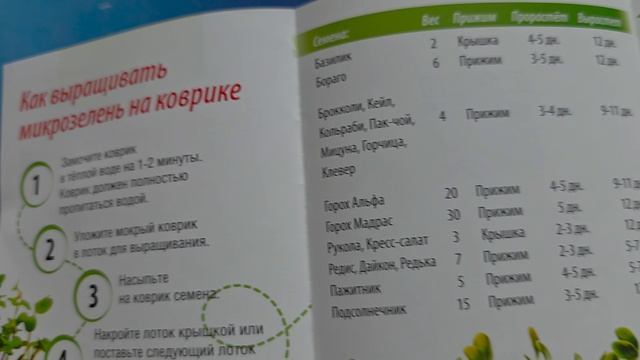 Микрозелень. Проращивание семян. #микрозелень #проращивание #семена #садоводство #витамины