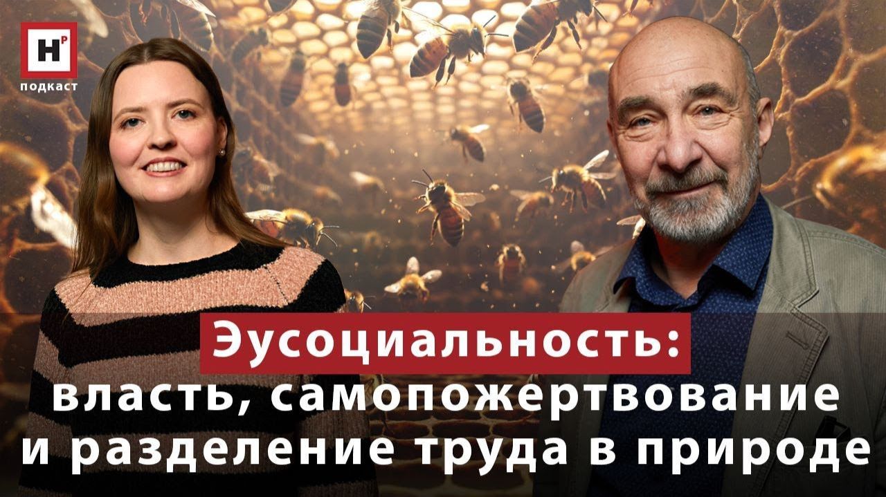 Власть и самопожертвование: как устроен мир пчел, муравьев и других эусоциальных животных