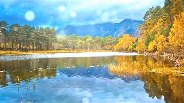 Minich - Chanterelles