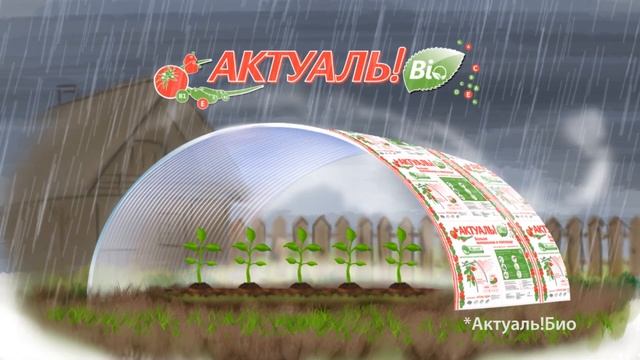 6. SafPlast - Actual!Bio