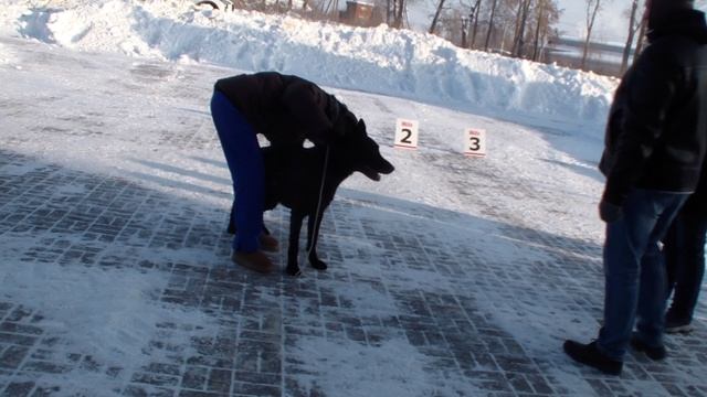 HDV_5801рейган рей