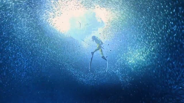 GoPro лучшее 2024