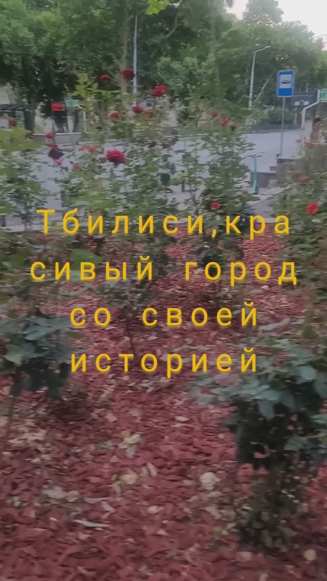 Тбилиси,красивый город со своей историей#shorts
