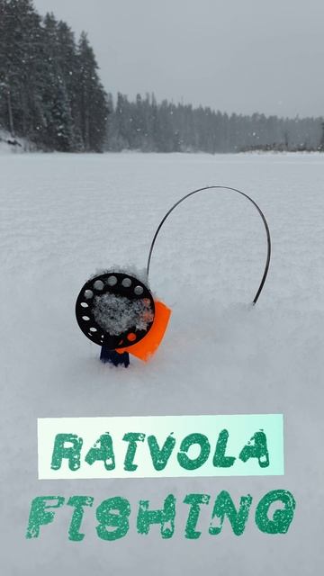 Верите в снасть? Снег, жерлицы и надежда.