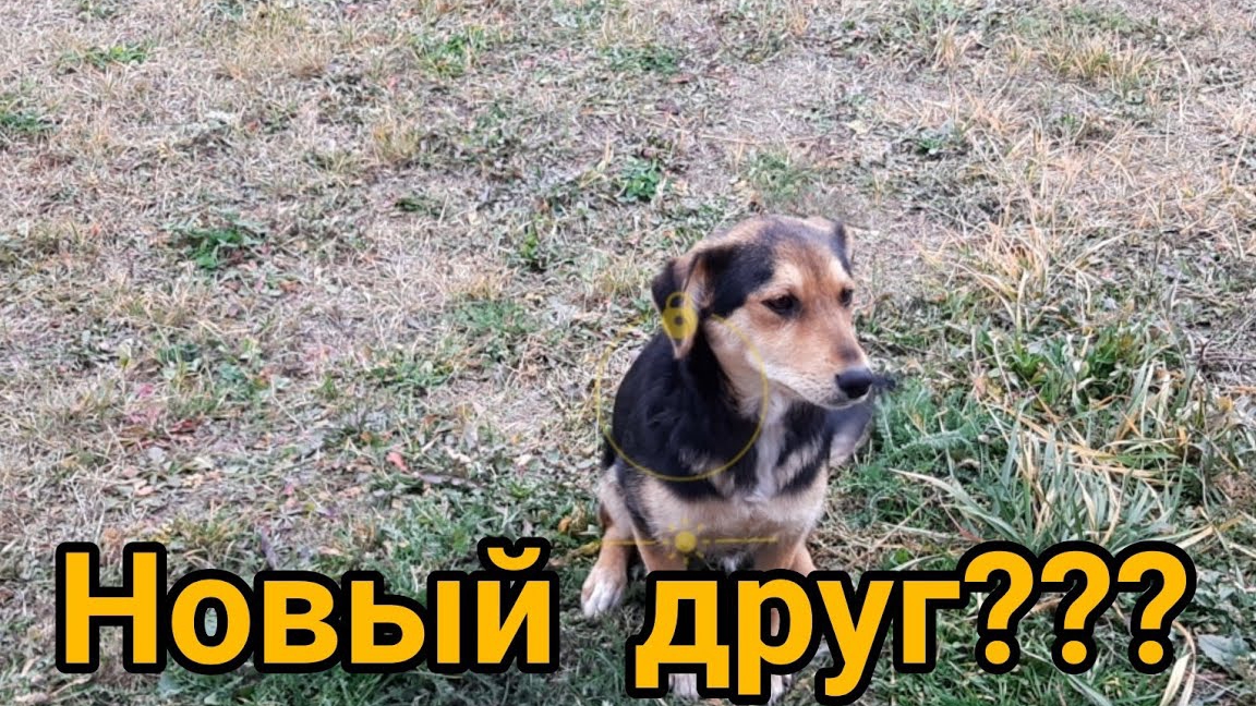 Vlog Воспоминание 2021. Суббота. Испекла яблочный пирог