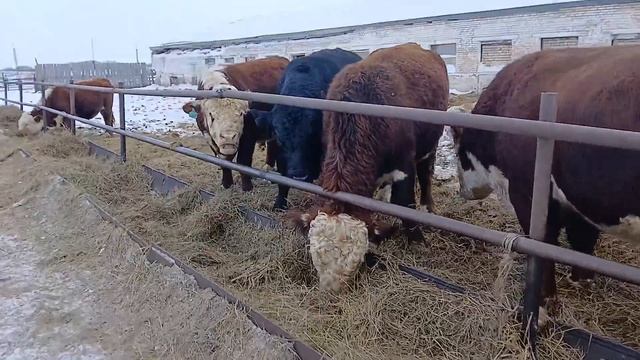 Видео от СООБЩЕСТВО Канал_Для ДУШИ,автор Андрей Латмарин