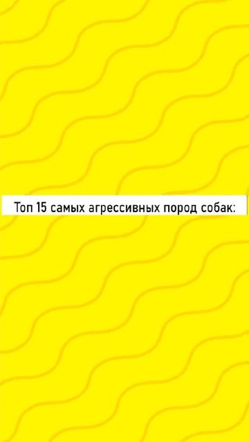 Ржу уже 30 минут🤣🤣🤣
