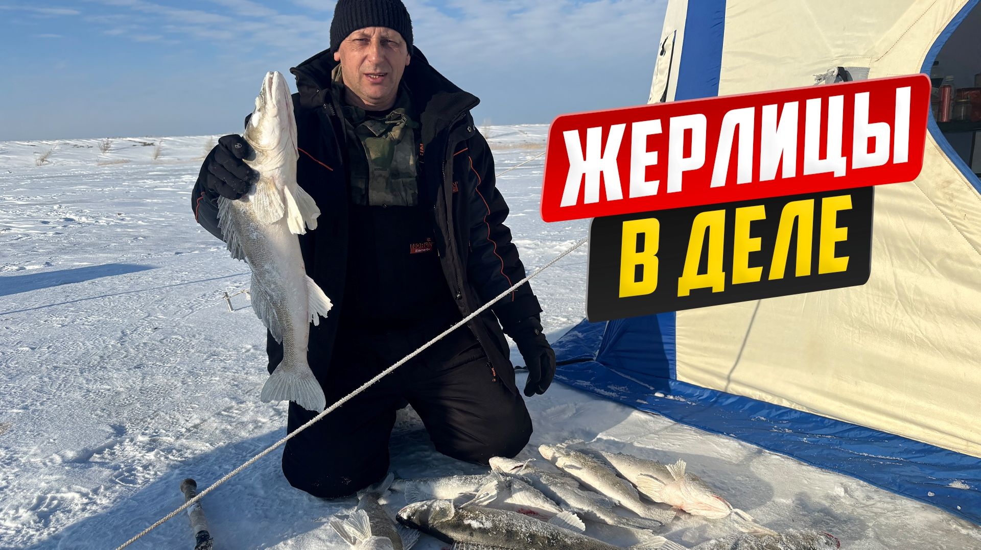 Жерлицы против СУДАКА. Тактика ловли для глухозимья. 9 судаков за день.