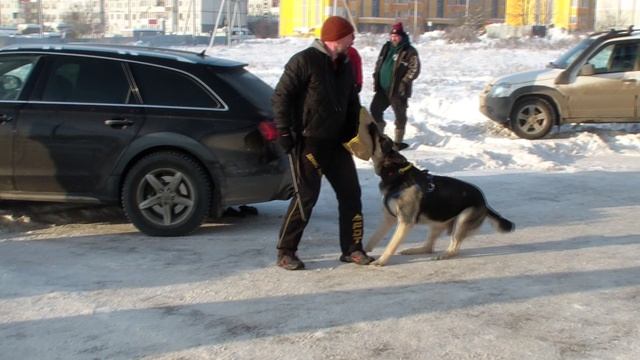 HDV_5790 Тула вне конкурса