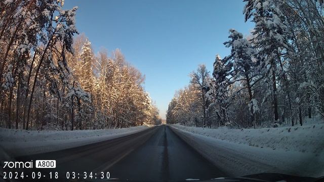 Лес у Ситников, 25.01.2026