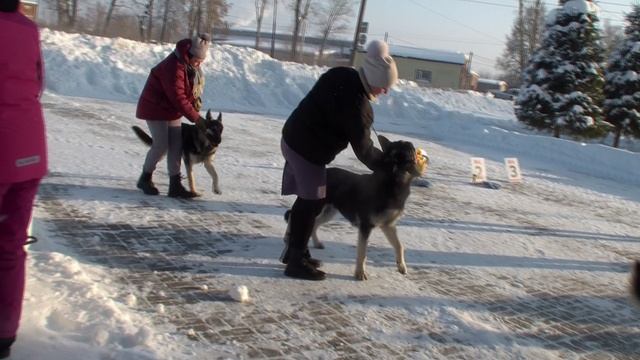 HDV_5793каспер кайс и сравнение коб юн