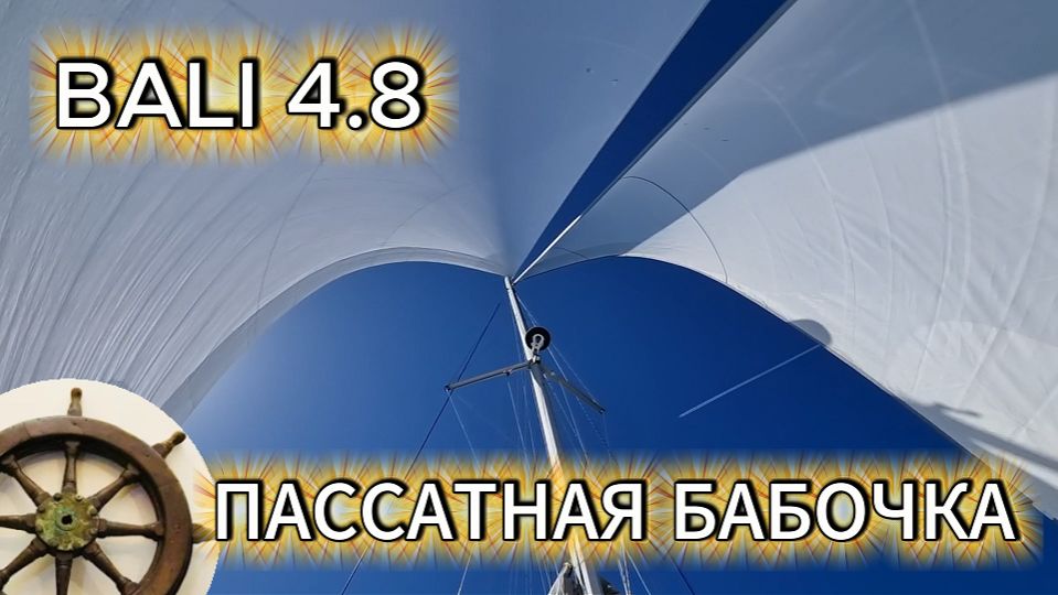 Пассатная бабочка. Ширина катамарана это плюс. Яхтеный  перегонщик катамаран  Bali 4.8 , 3 серия