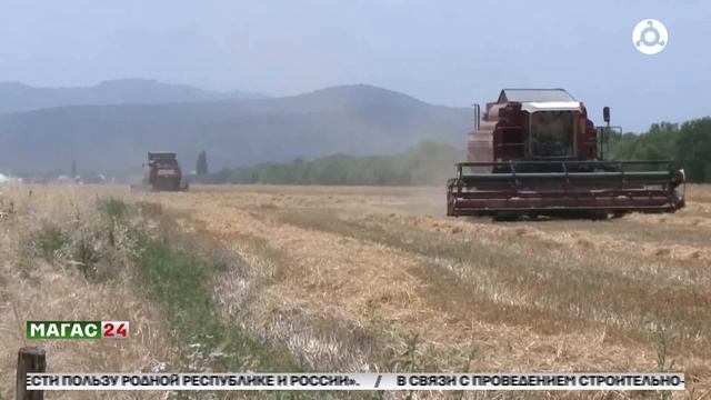 Дайджест новостей 25.01.2026г.