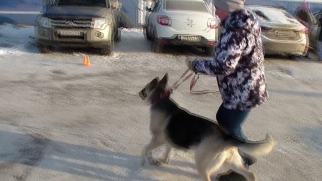 HDV_5786 моно вео Тула пр РК Великолепная Ева