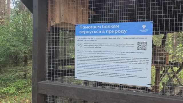 Осенняя прогулка на электросамокате в лесу. Парк Ямской лес. Курорт Завидово. Дата - 15.10.25