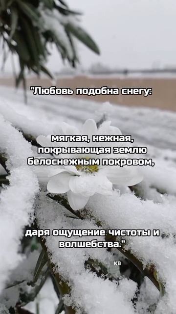 #мысли #цитаты #katyboro #рекомендации