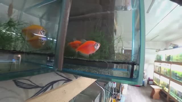 Что получилось за эти дни