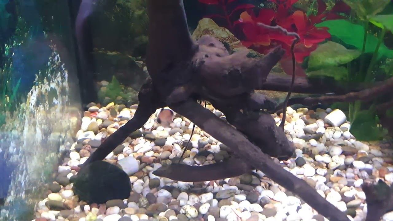 Бога нет, а кто нас кормит???