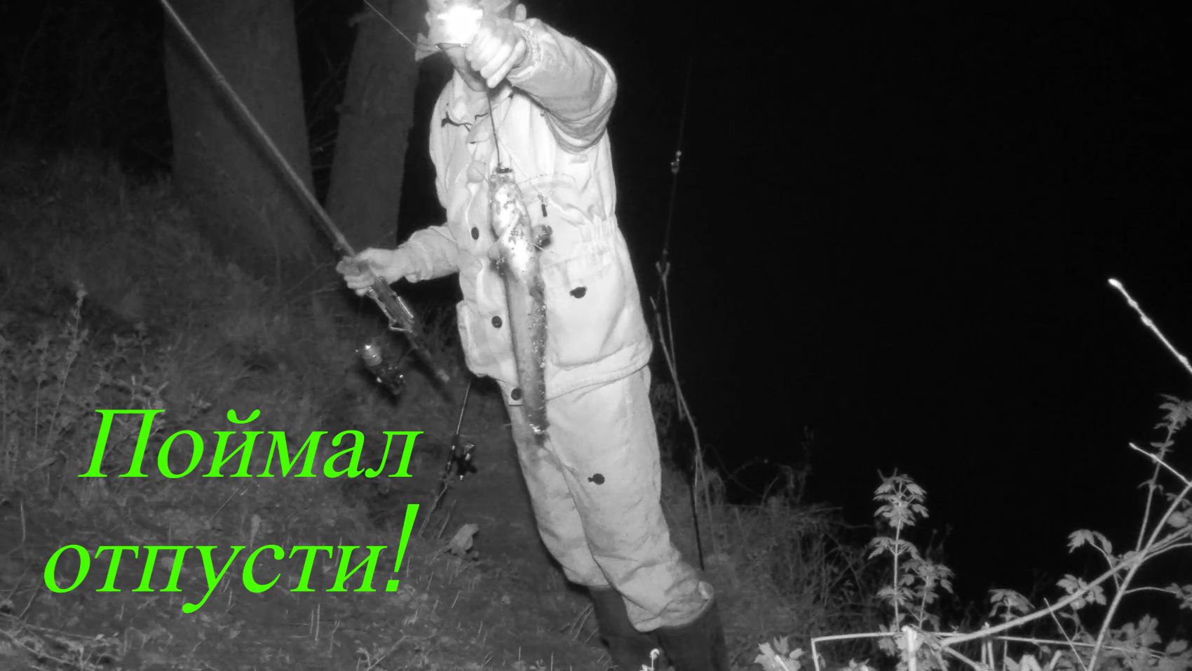 Спортивная рыбалка ночью! Ловил по принципу поймал отпустил.