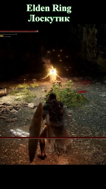 Elden Ring Лоскутик
