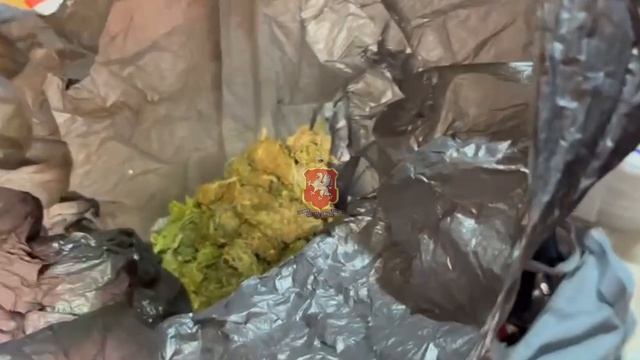 Севастопольские полицейские задержали подозреваемого в покушении на сбыт марихуаны в крупном размере