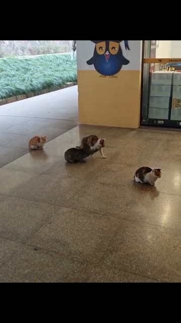 В очередь!!!!