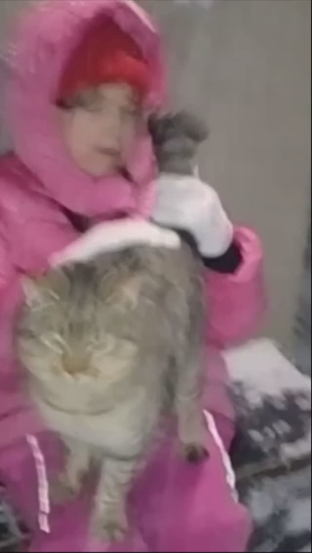 Новогодние игры на снегу short