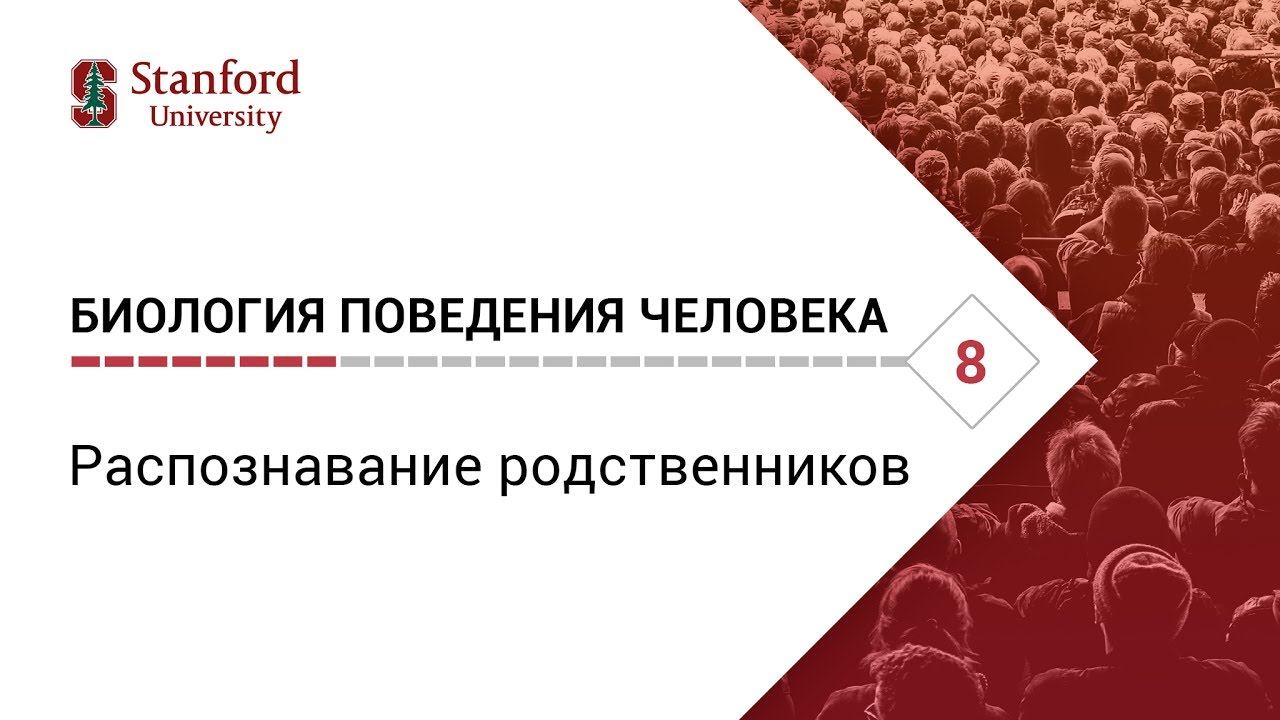 Биология поведения человека: Лекция #8. Распознавание родственников [Роберт Сапольски, 2010]