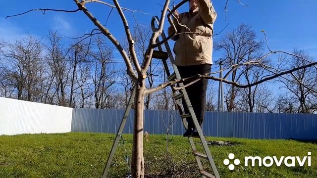 День доставки. Первые работы на участке. Сборка мебели.