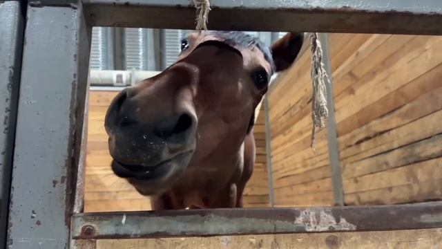 Завершилось большое путешествие по различным службам и подразделениям УМВД России по г.Севастополю.