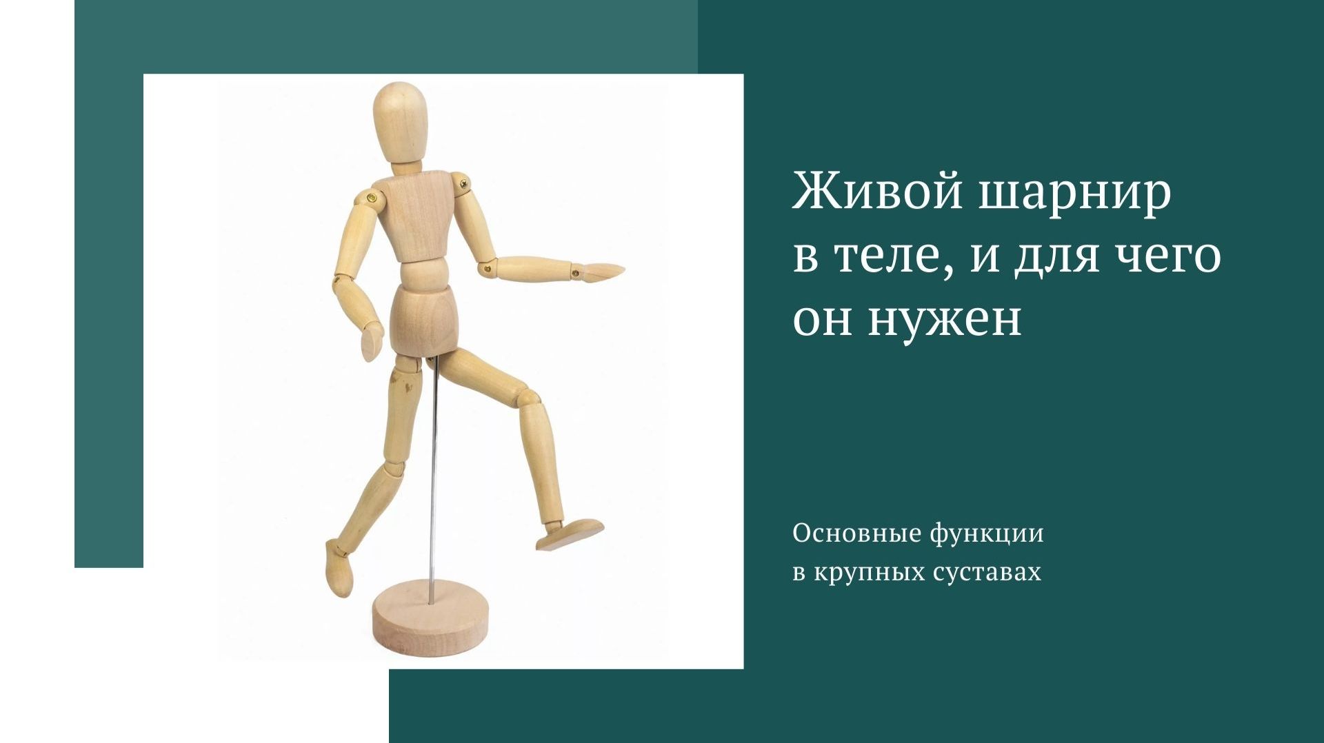 Ваши суставы — как живые шарниры!