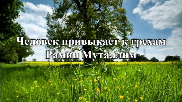 Человек привыкает к грехам  Рамин Муталлим #раминмуталлим  #вопросответ