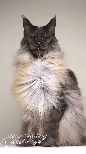 что было и что стало