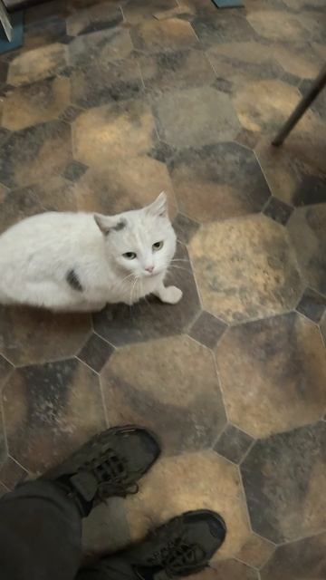 ЛЮДОЕД ПРОГОЛОДАЛСЯ